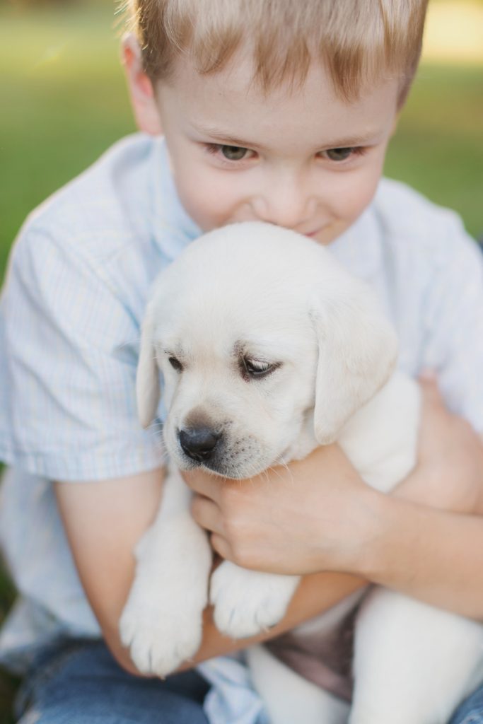 Purchase Details – Ace Labradors